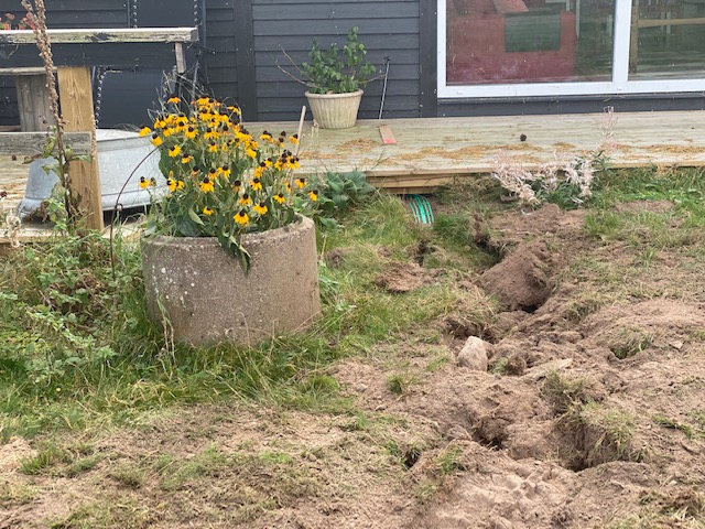 Onsdag: Underrättelser från en udde